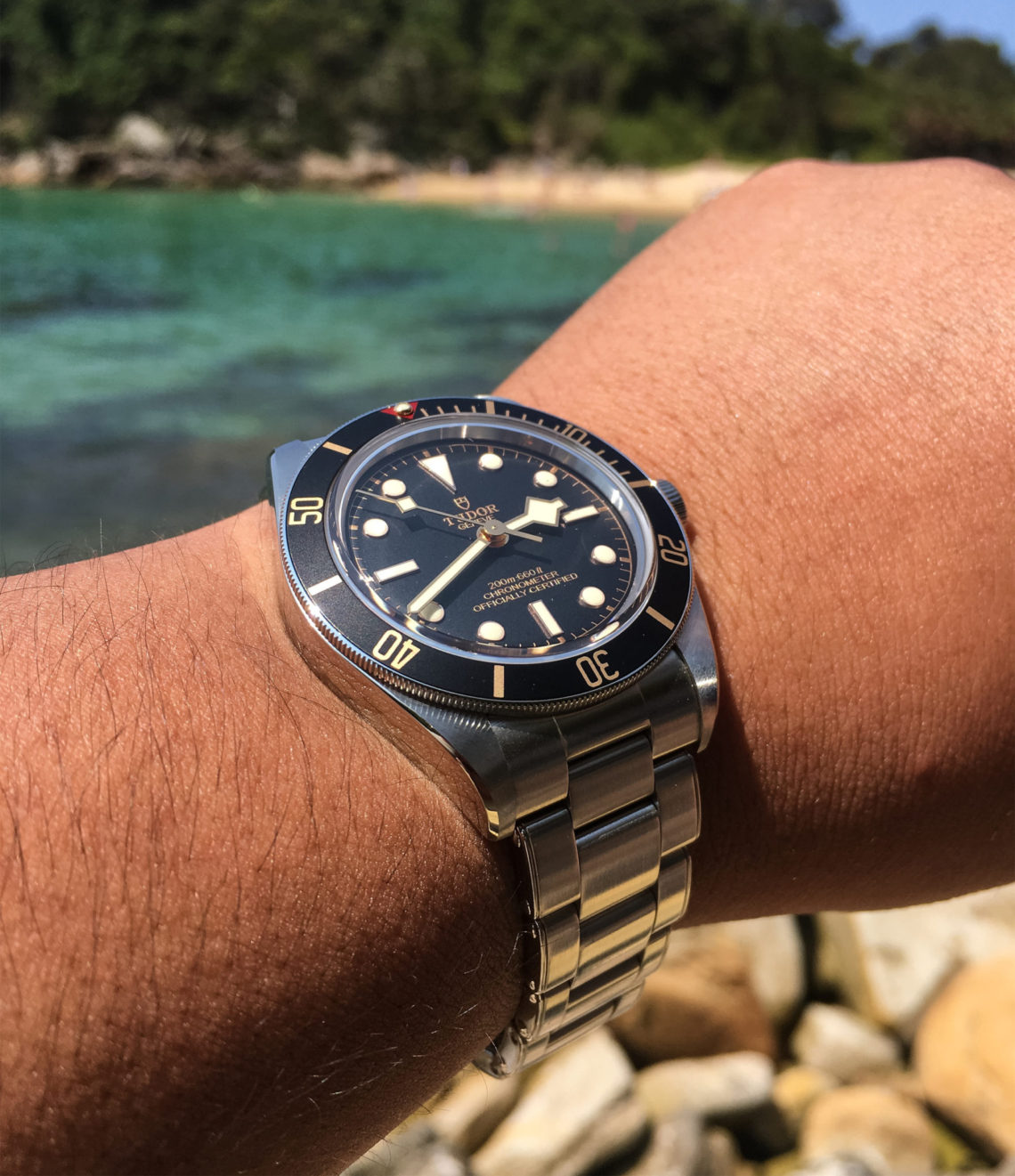 Tudor Black Bay 58 On Wrist
